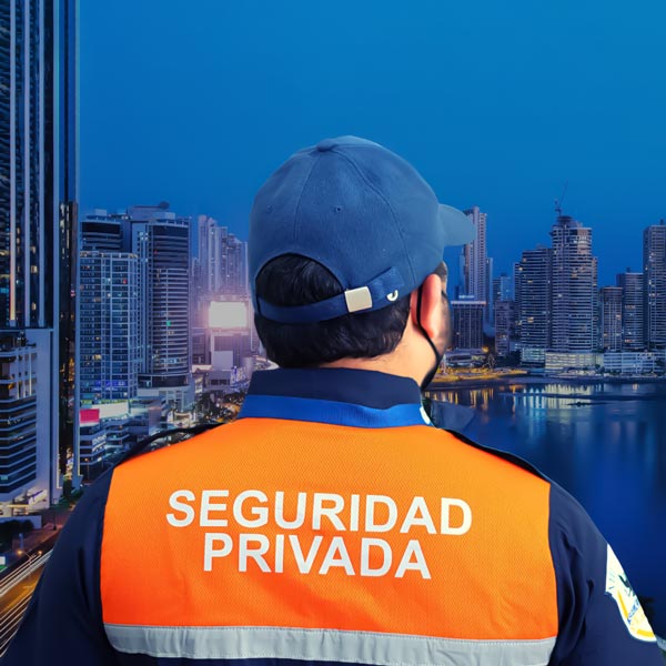 Millenium Security Services Panamá